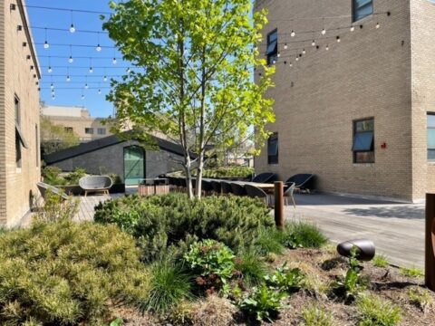 Morgan North is Almost Complete! Architecture Affiliate, Montroy ...